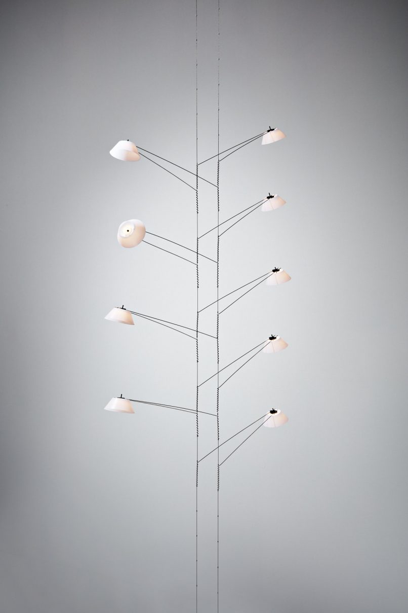 Liiu BACKBASE / NL - VANTOT